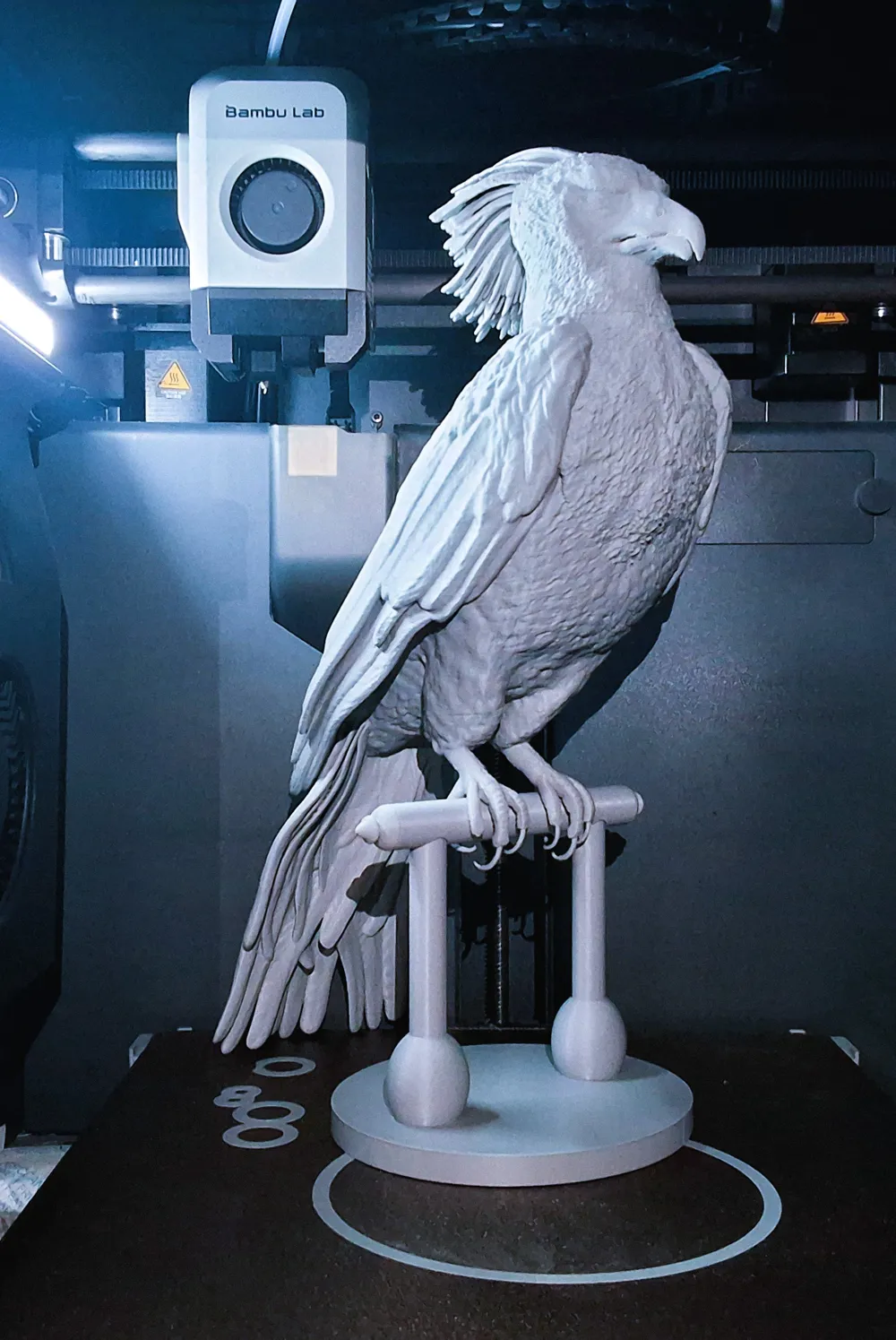 fiery Phoenix by Valkyrie Forge MakerWorld: Download Free 3D Models