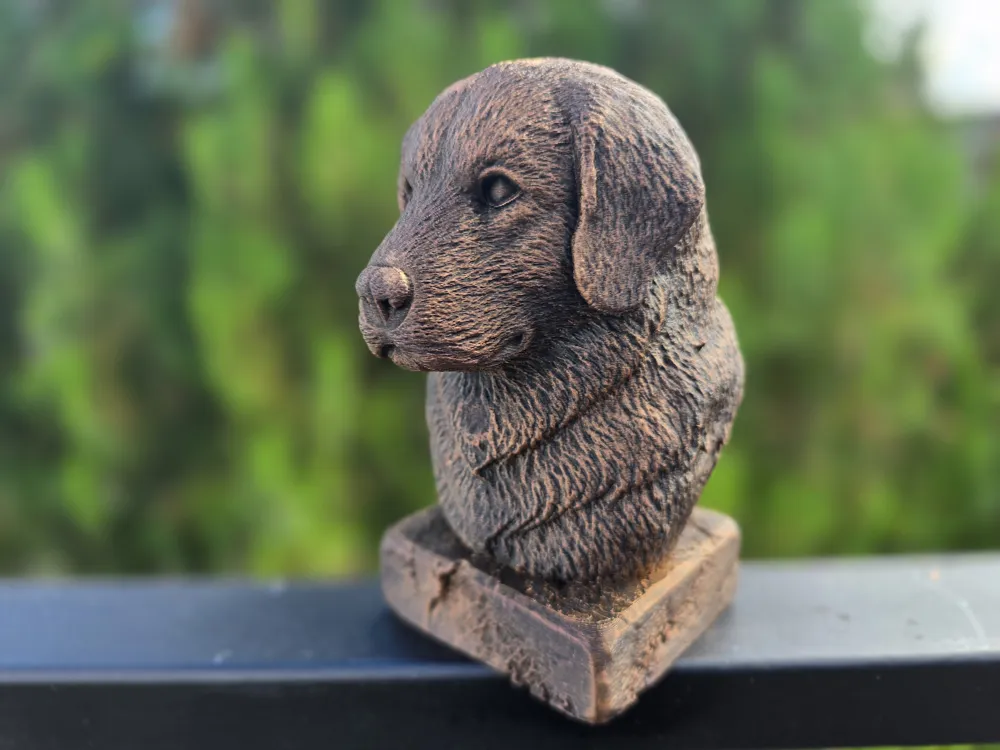 Polish Tatra Sheepdog Bust by Messy_Panda MakerWorld: Download Free 3D ...