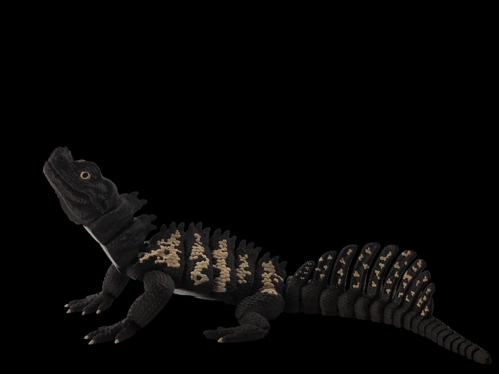 Sailfin Dragon- Hyper realistic articulated Lizard - Free 3D Print ...