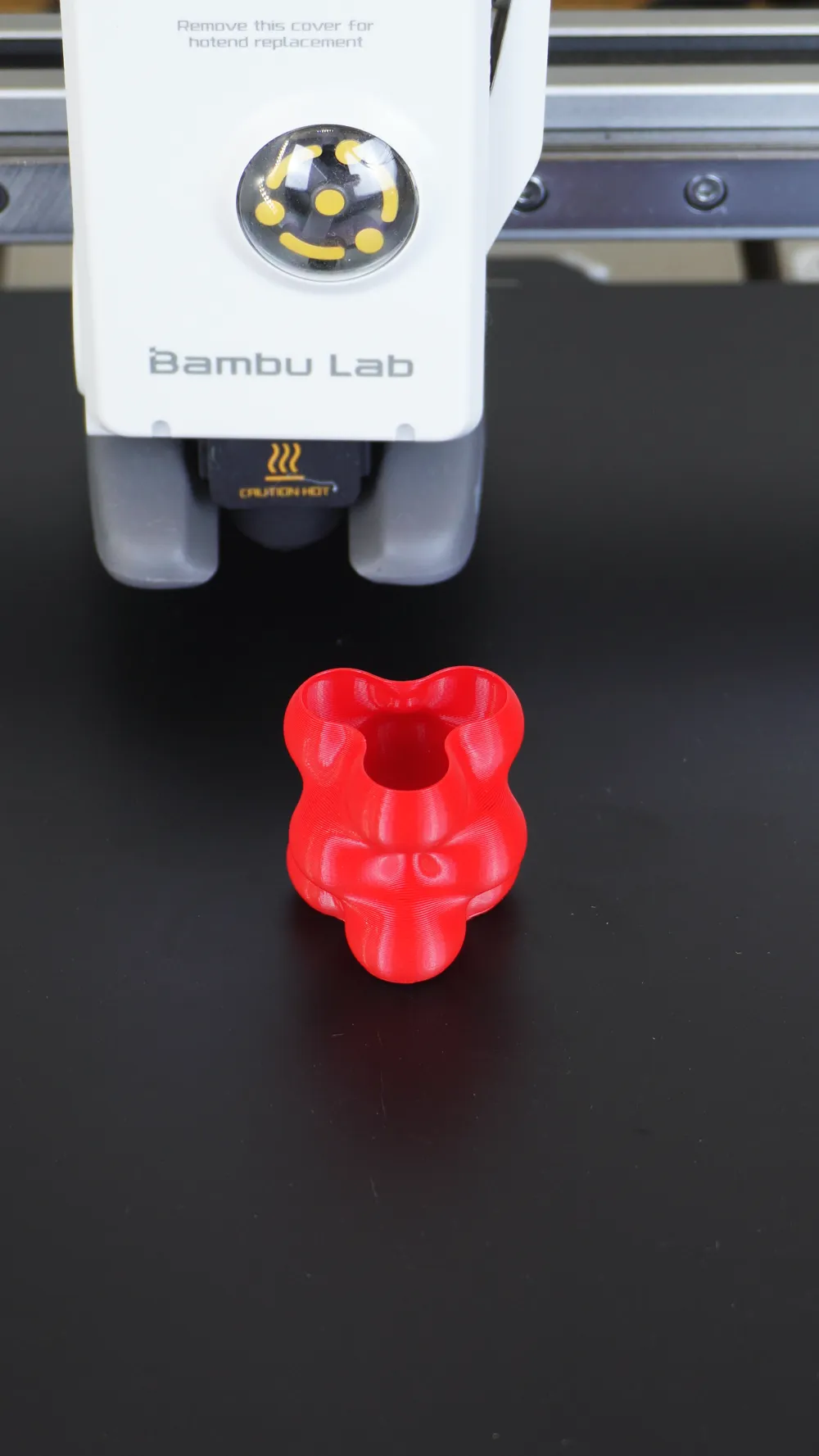 Holly String Lights - Free 3D Print Model - MakerWorld