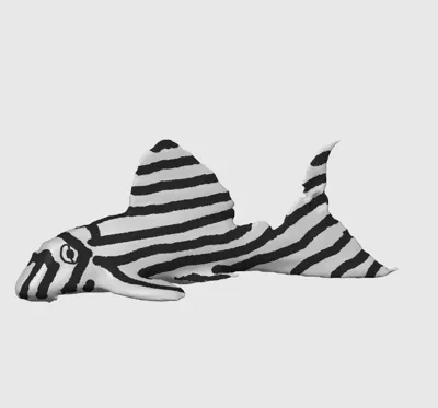 Shawnt | Accueil - MakerWorld