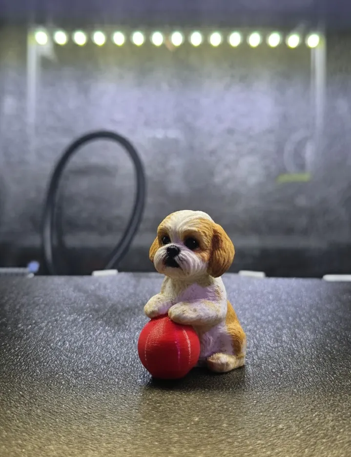 Shih Tzu - Set of 5 Variants - Free 3D Print Model - MakerWorld