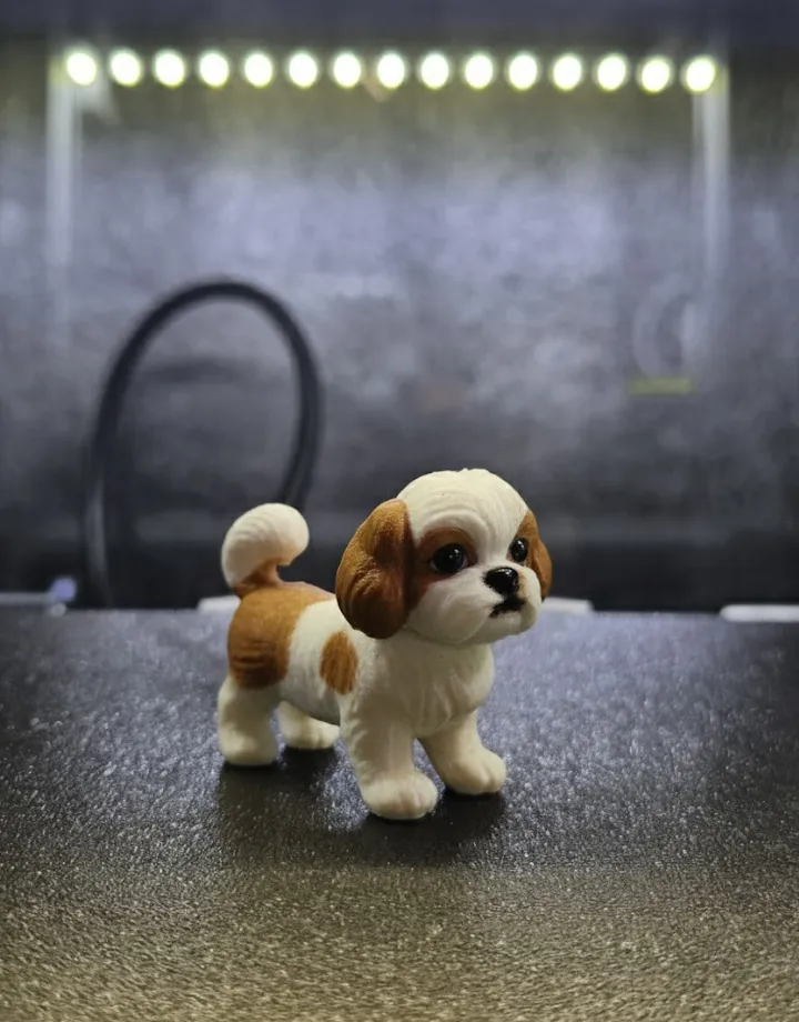 Shih Tzu - Set of 5 Variants - Free 3D Print Model - MakerWorld