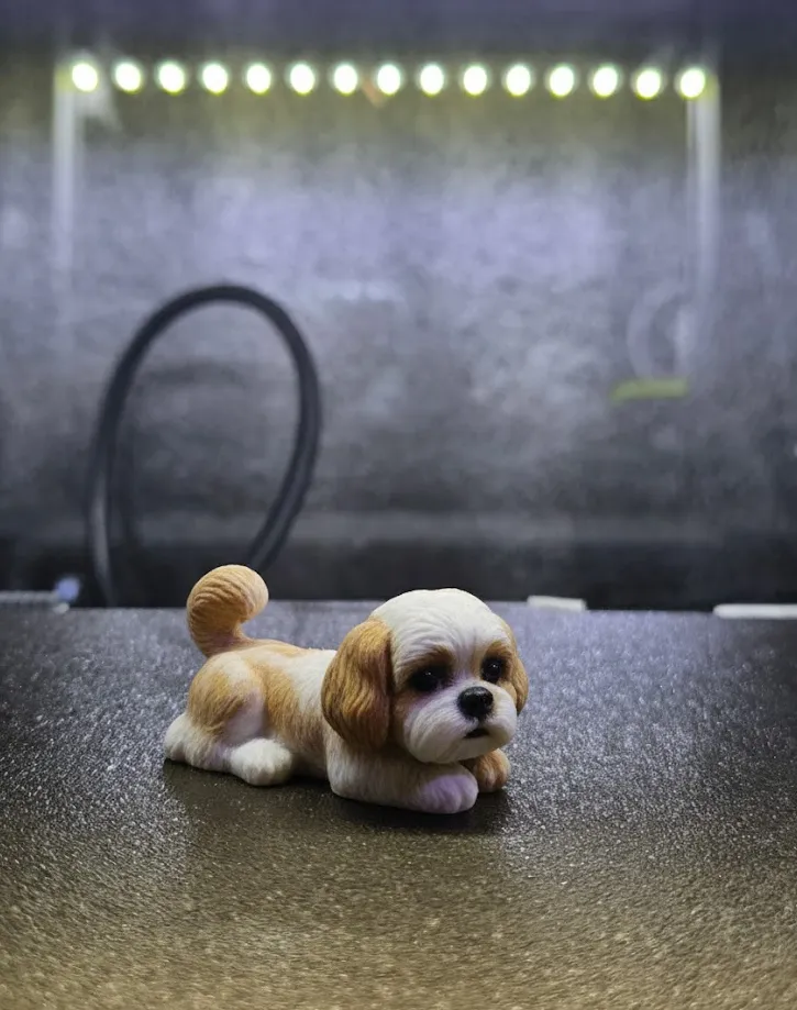 Shih Tzu - Set of 5 Variants - Free 3D Print Model - MakerWorld