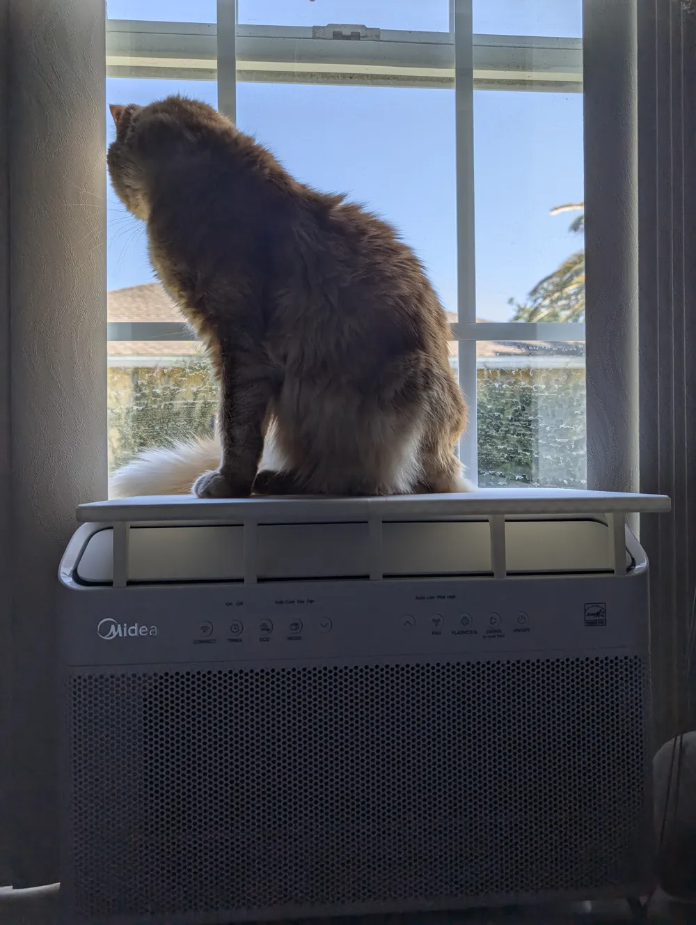 Cat Window Air Conditioner Platform Midea U - Free 3D Print Model ...