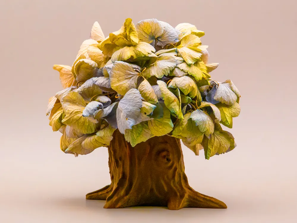 Hollow tree stump Remixed by Officina23 - MakerWorld