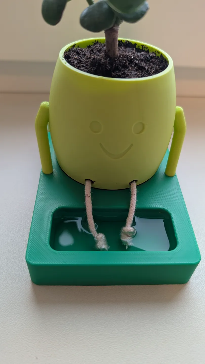 funny pot by fr3D - MakerWorld