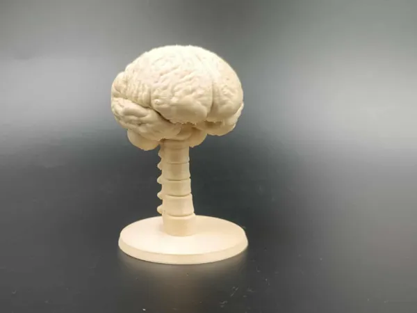 drakeforge3d | Collections - MakerWorld