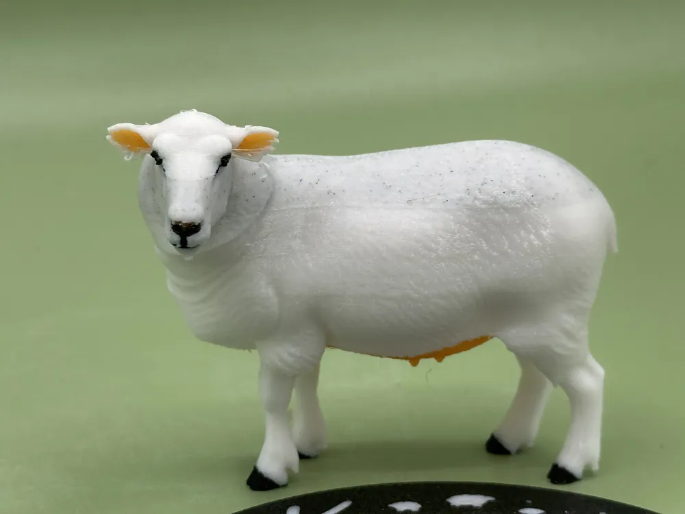 Realistic Sheep with Pun Coaster "Sheep happens" by JAV-3D MakerWorld ...