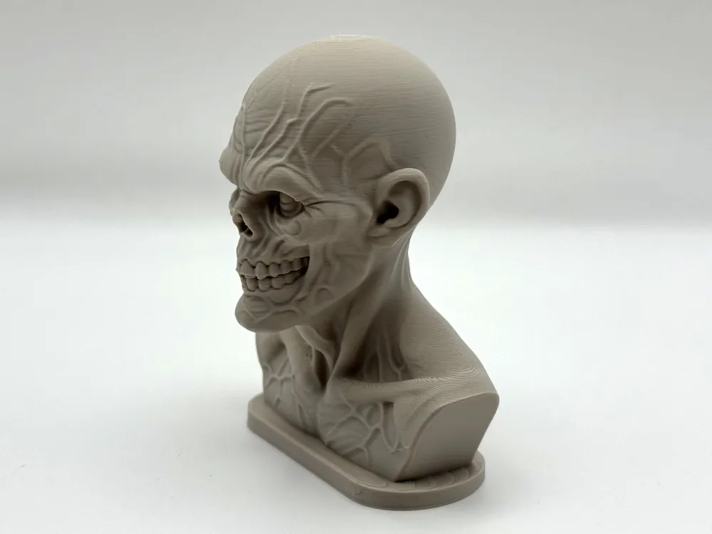 Zombie Skeleton Bust by Stigern MakerWorld: Download Free 3D Models