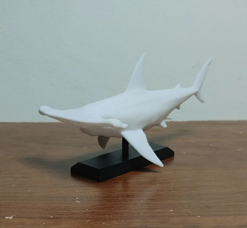 Hammerhead Shark Mount by Fish Prints MakerWorld: Download Free 3D Models