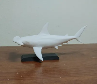 Hammerhead Shark Mount by Fish Prints MakerWorld: Download Free 3D Models