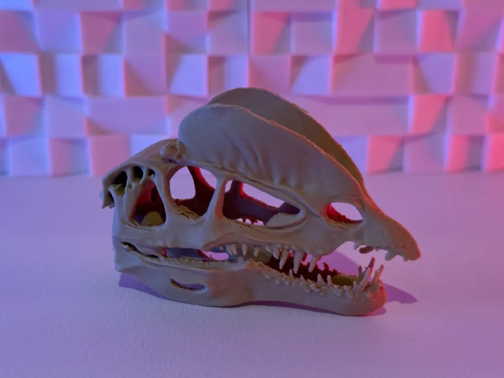 Dilophosaurus Skull (5-20 Grams) - Free 3D Print Model - MakerWorld