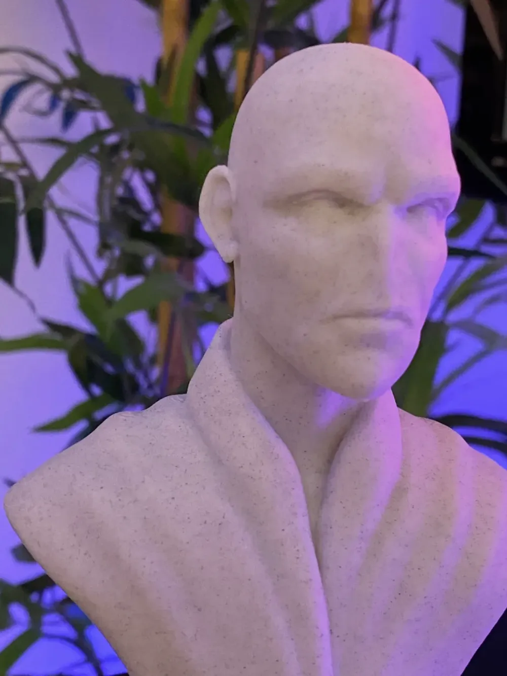 Lord Voldemort Bust by JBdesigns MakerWorld: Download Free 3D Models