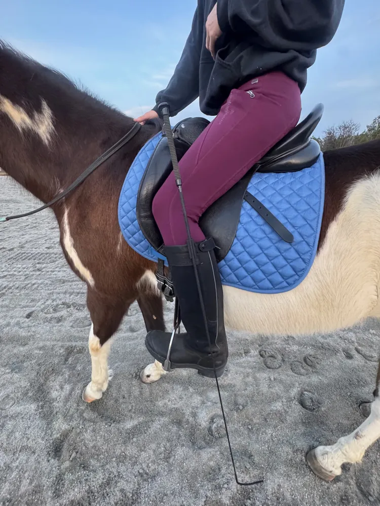 Equestrian Crop Clip Boot Clip - Free 3D Print Model - MakerWorld