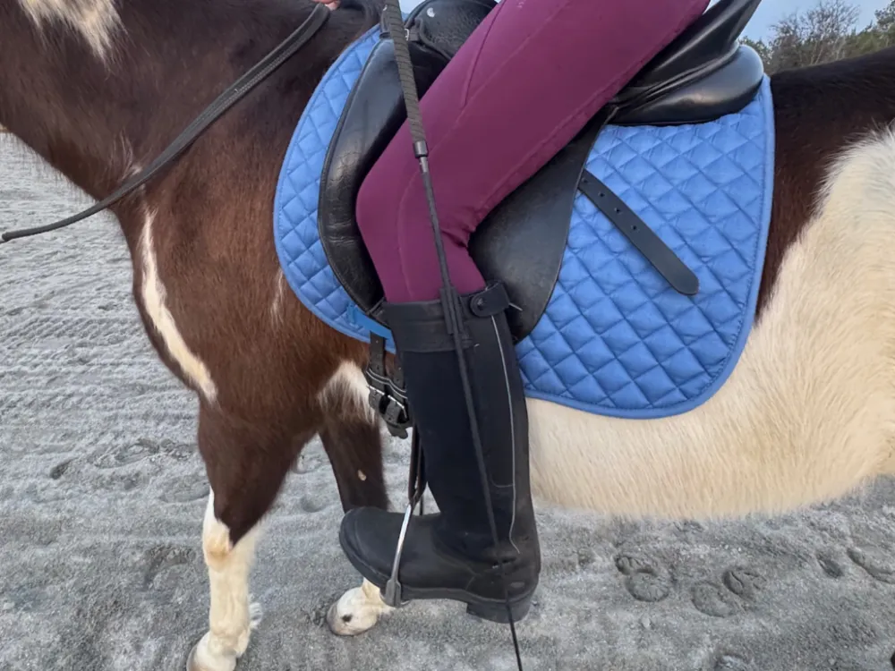 Equestrian Crop Clip Boot Clip - Free 3D Print Model - MakerWorld