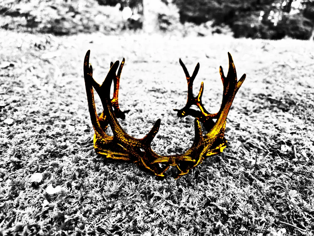 "Crown of Antlers" by DTM247 MakerWorld: Download Free 3D Models