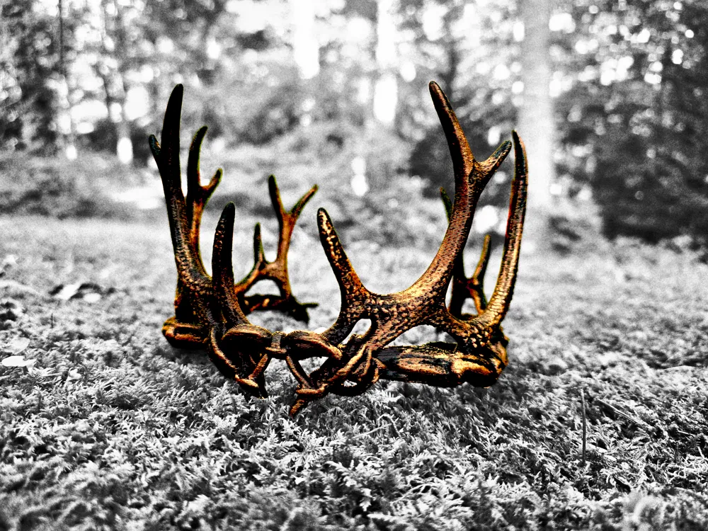 "Crown of Antlers" by DTM247 MakerWorld: Download Free 3D Models