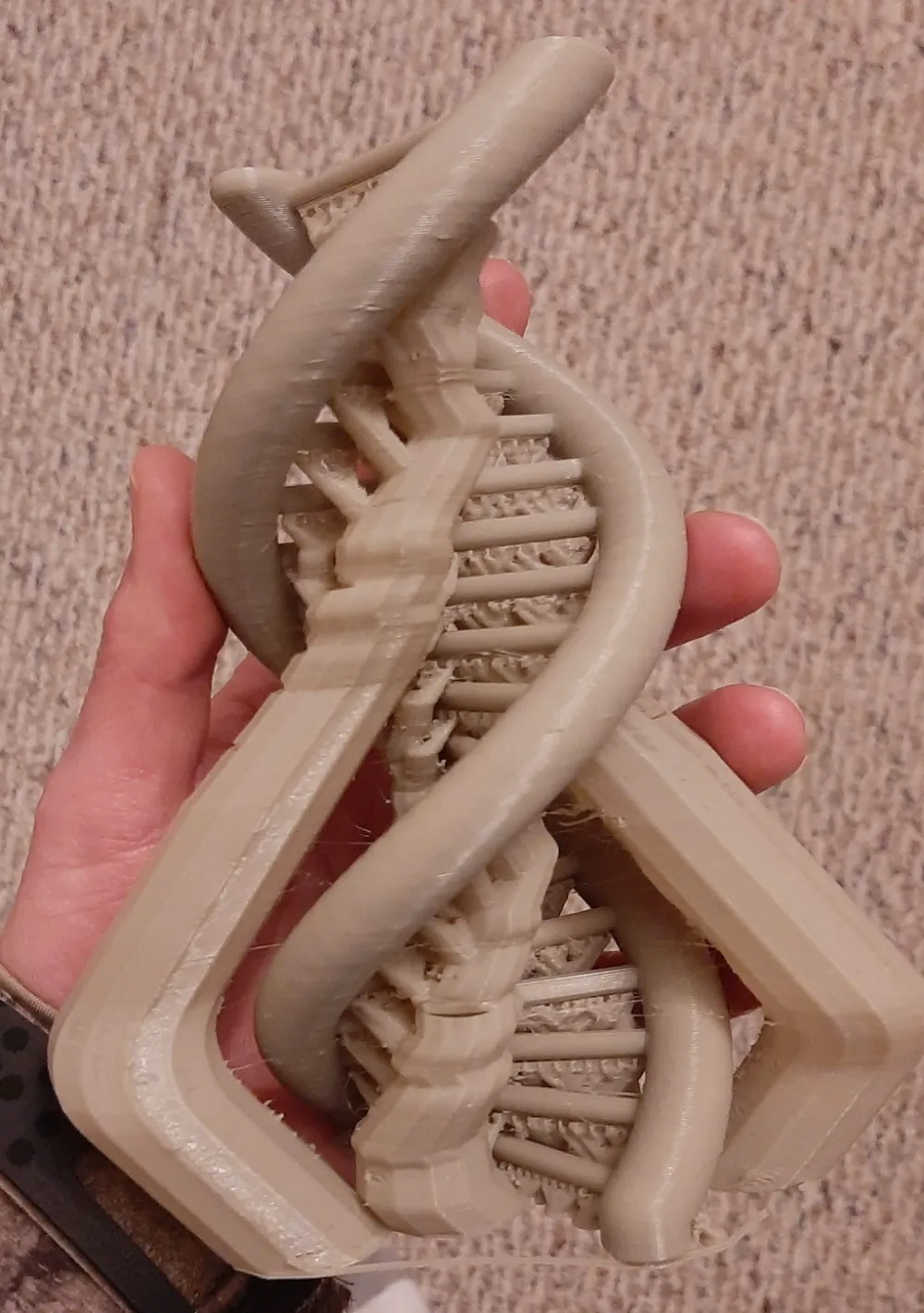 DNA Helical Spiral with Base Plate by Print Man - MakerWorld