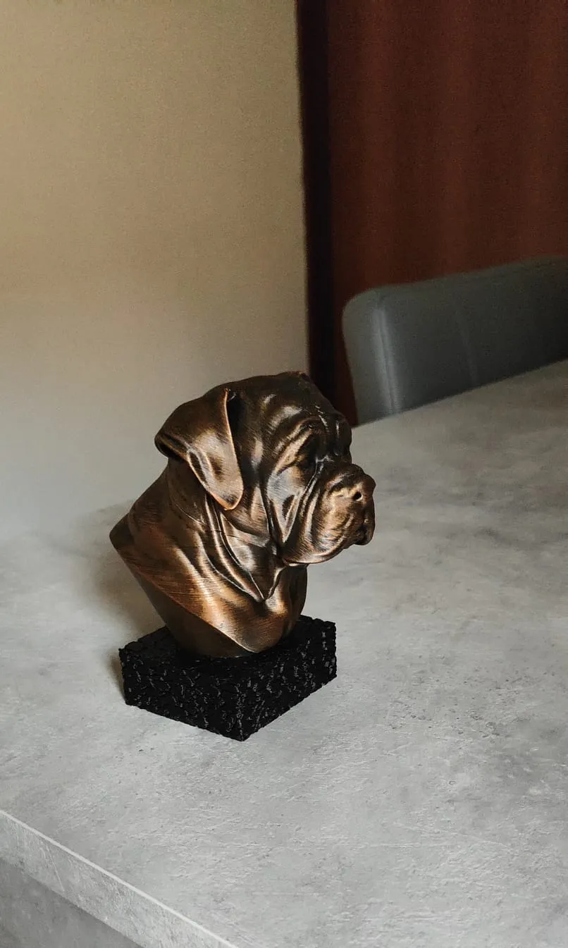 Cane Corso bust on a 12 cm high square base. by Frenk MakerWorld ...
