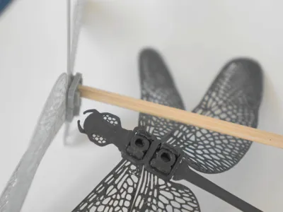 Dragonfly by Jack - MakerWorld