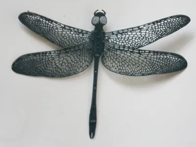 Dragonfly by Jack - MakerWorld