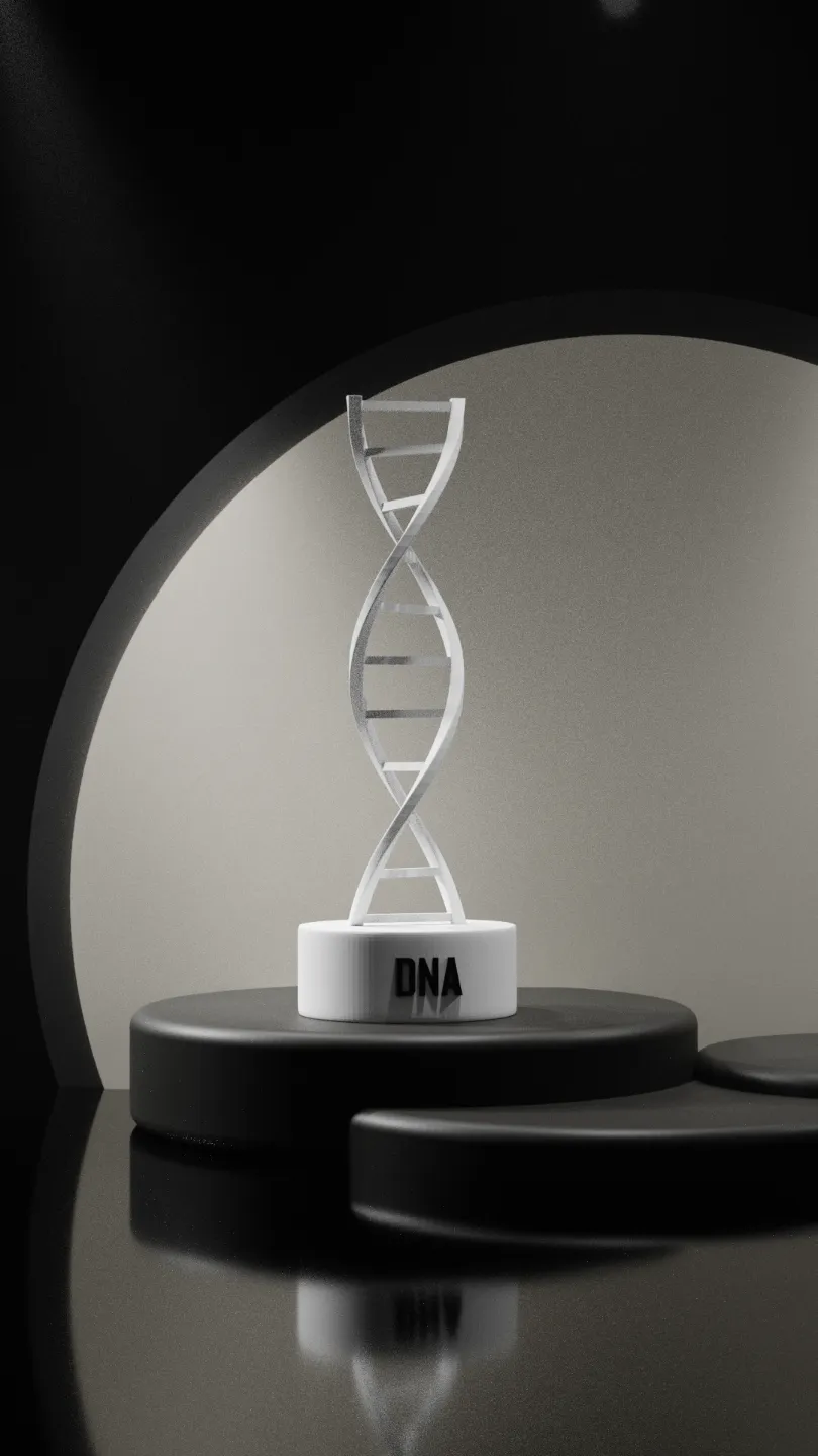 DNA model on table by Sutnaar - MakerWorld