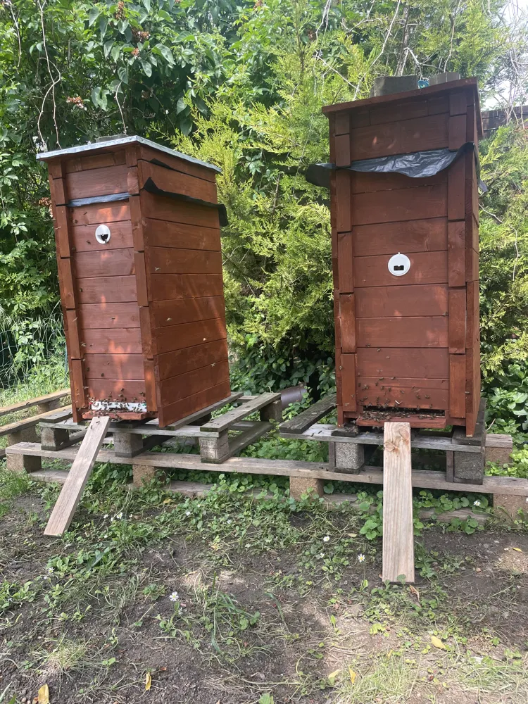 Beehive Round Exit with Rotating Cap by Ádám Gondos MakerWorld ...