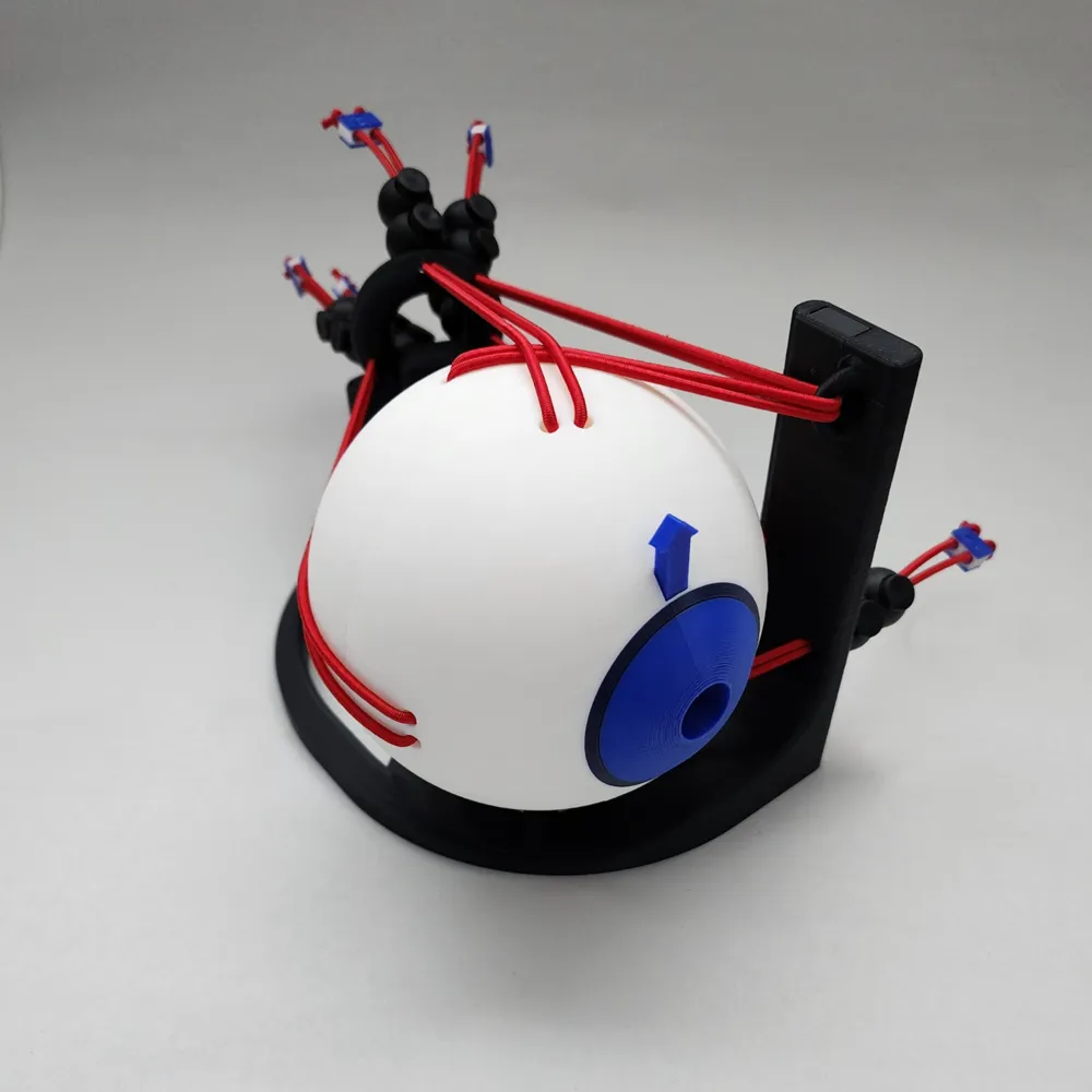 Extraocular Muscles - Human Eye Model by DanMan MakerWorld: Download ...