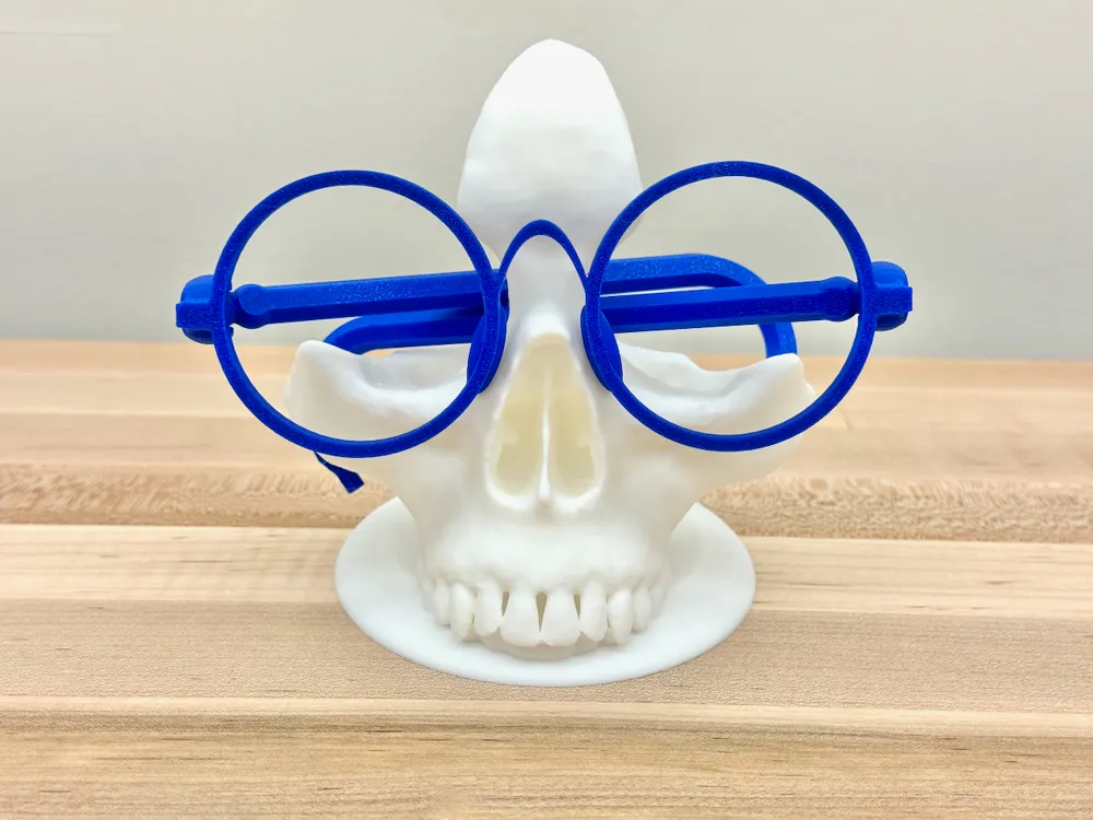 Fun glasses by stephen.larochelle - MakerWorld