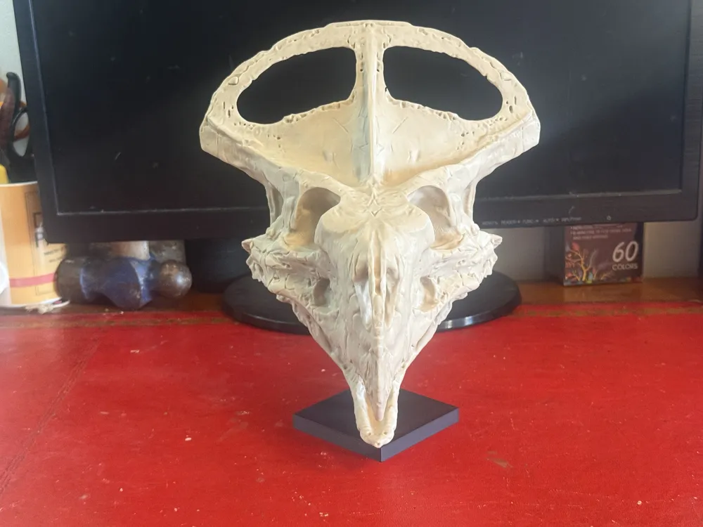 Protoceratops Skull – Ceratopsian Dinosaur Fossil - Free 3D Print Model ...
