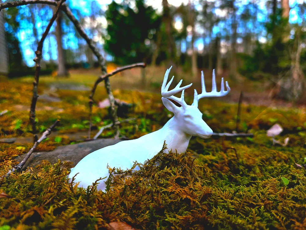 "Resting Buck" Whitetail Deer by DTM247 MakerWorld: Download Free 3D Models