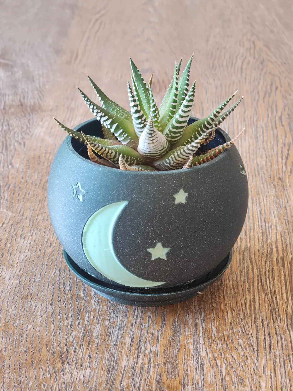 Moon planter - Free 3D Print Model - MakerWorld
