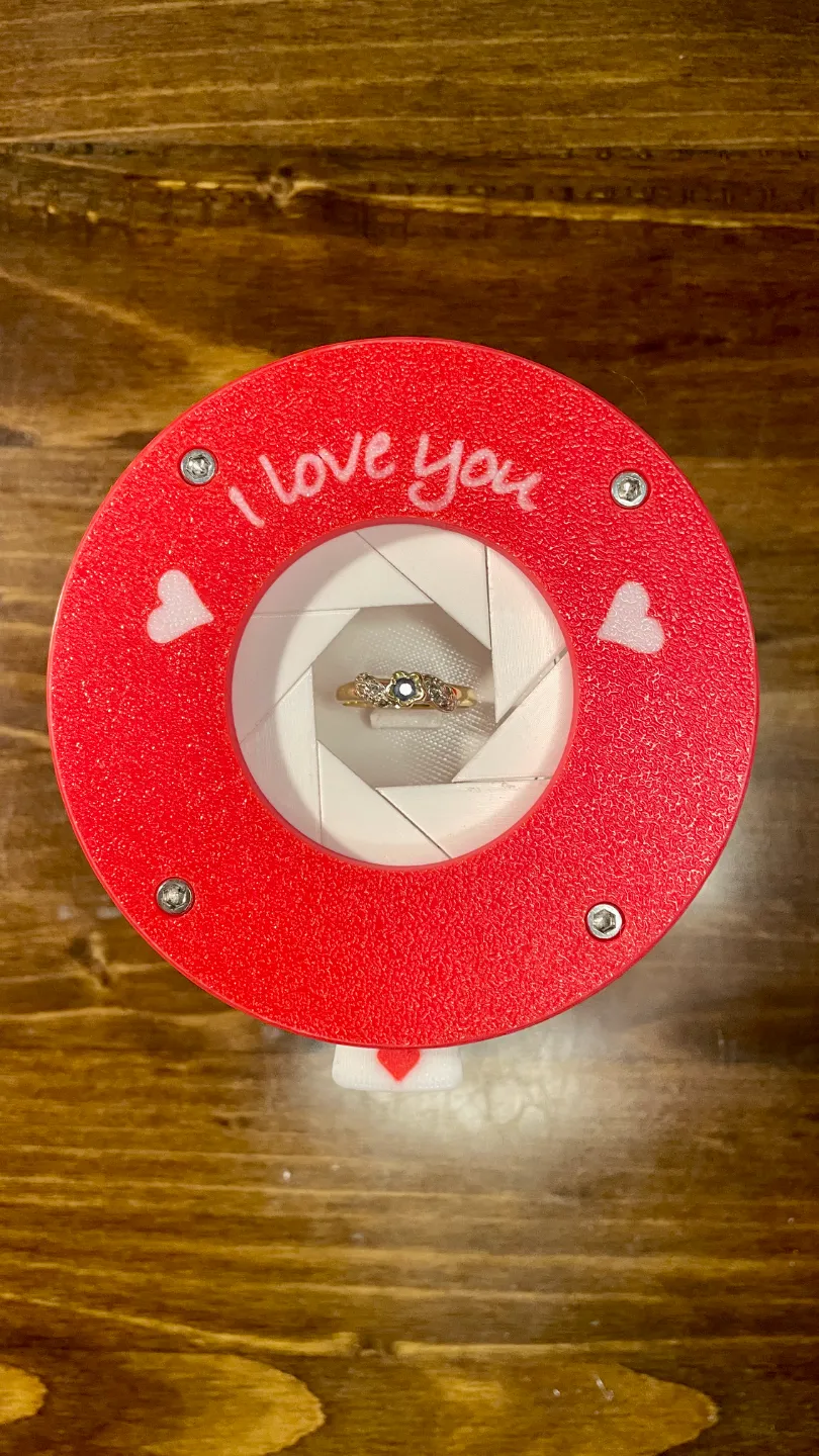 Ring Elevator Box by Paolo UbbialiMakerWorld: Download Free 3D Models