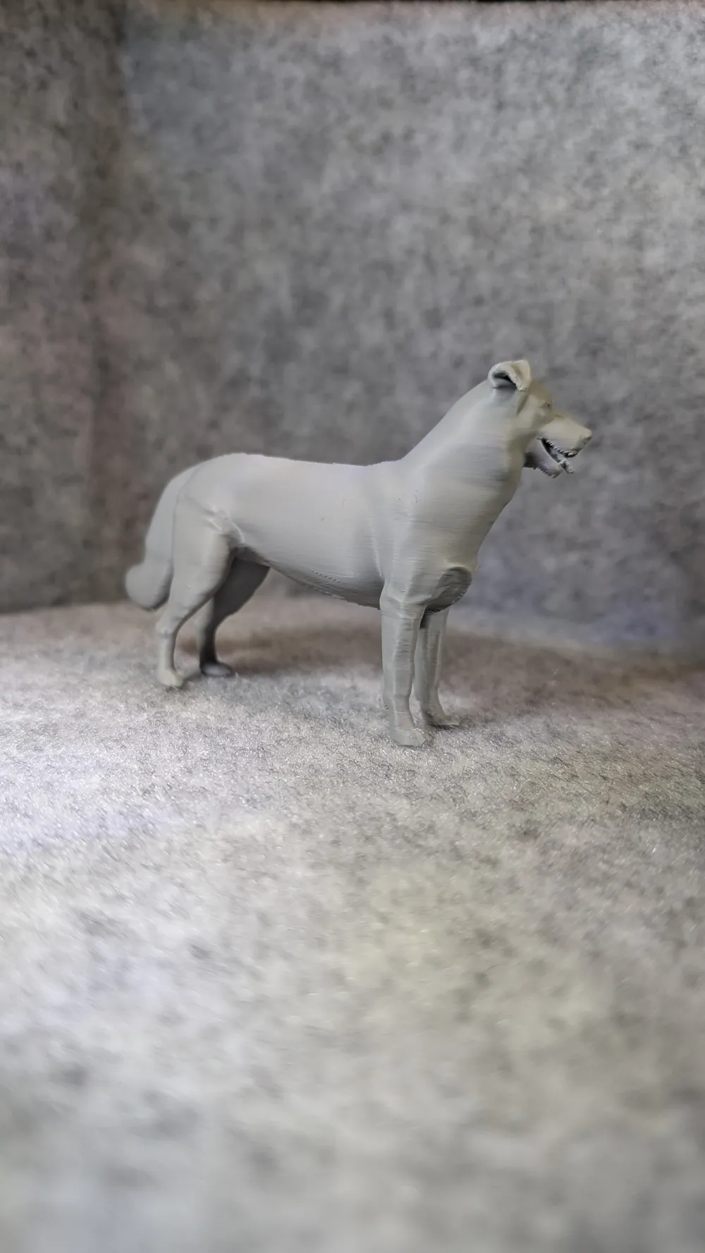 Border Collie Model - Free 3D Print Model - MakerWorld