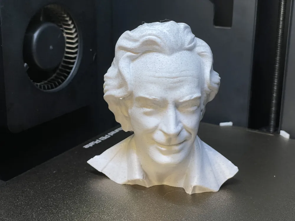 Bust of Richard Feynman - Free 3D Print Model - MakerWorld