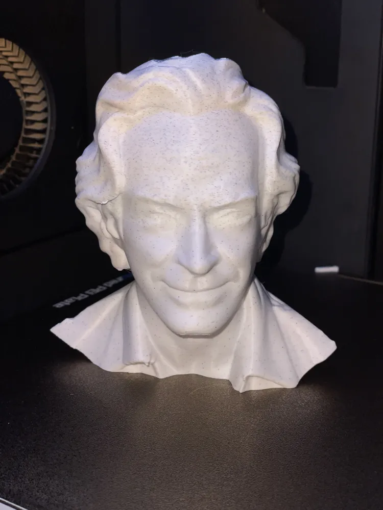 Bust of Richard Feynman - Free 3D Print Model - MakerWorld