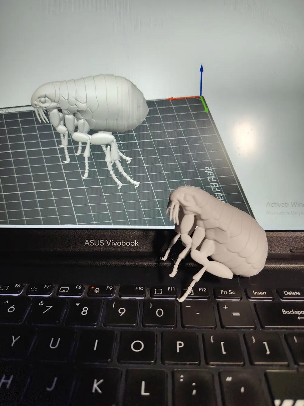 flea - Free 3D Print Model - MakerWorld