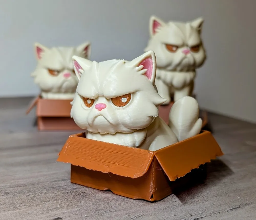 Boxed & Bothered: Grumpy Persian Cat - no AMS by Spandolage3D ...