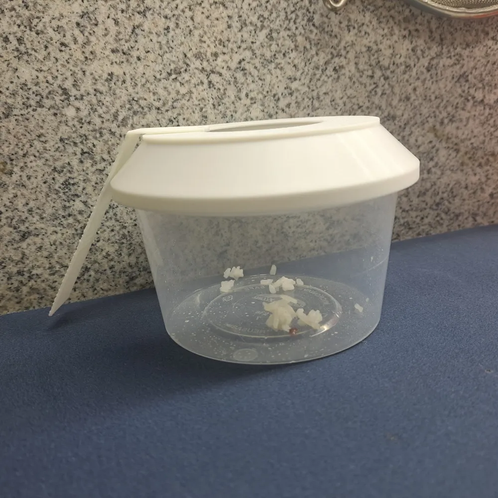 Butiki (house gecko) trap - Free 3D Print Model - MakerWorld