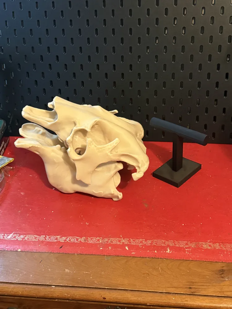 Giant Sloth Skull Fossil Replica – 250mm - Free 3D Print Model - MakerWorld