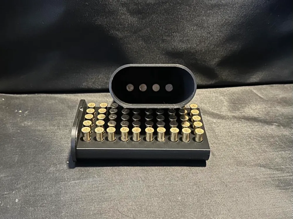 Caja de munición moderna calibre 22 LR - 50 cartuchos - Cierre ...