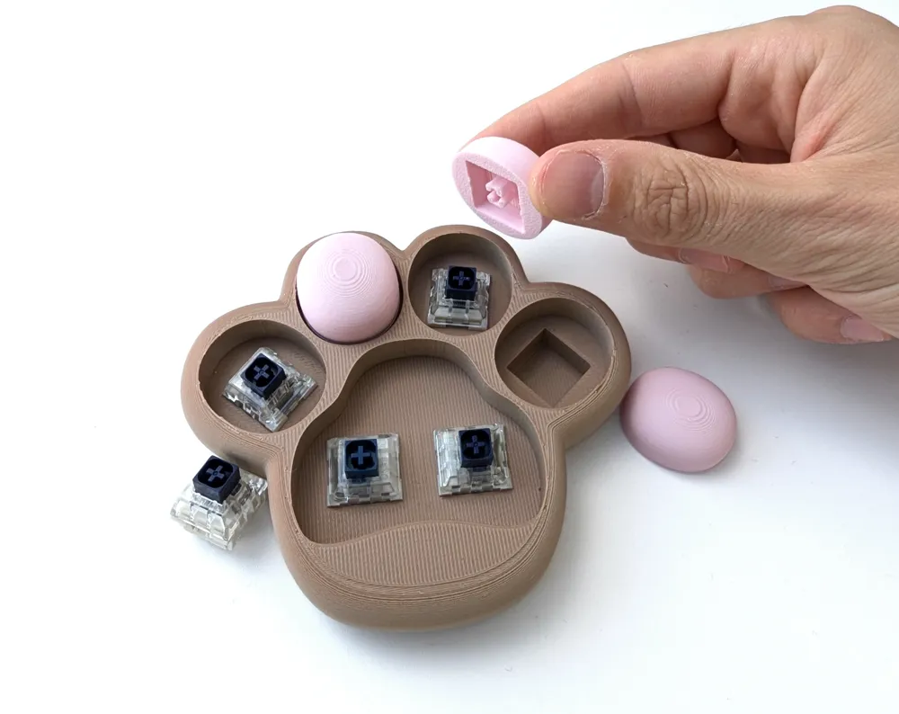 Fidget Paw by MorphNest3D MakerWorld: Download Free 3D Models