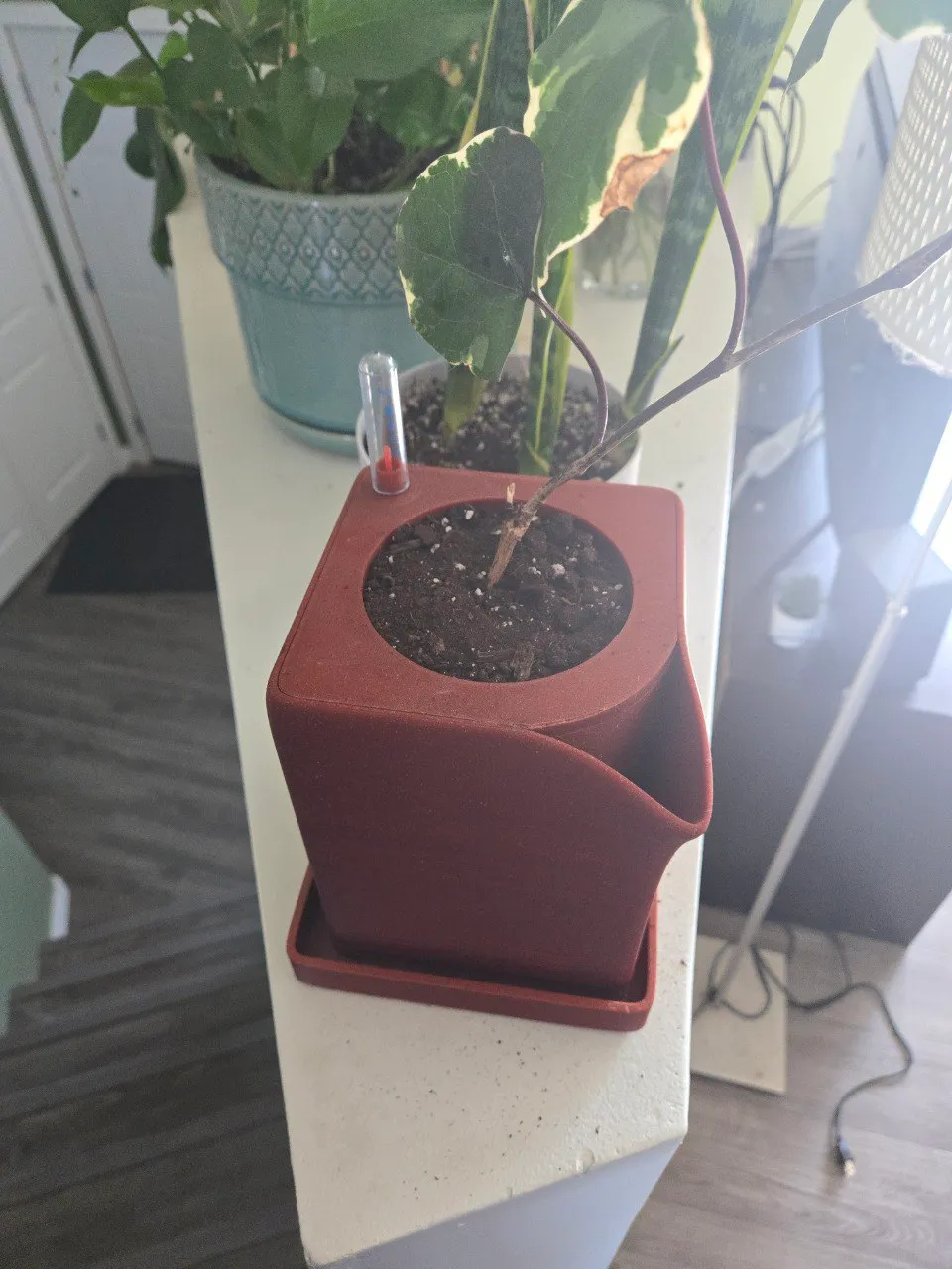 Self-Watering Planter Pot (with spout & indicator) by Simon - MakerWorld