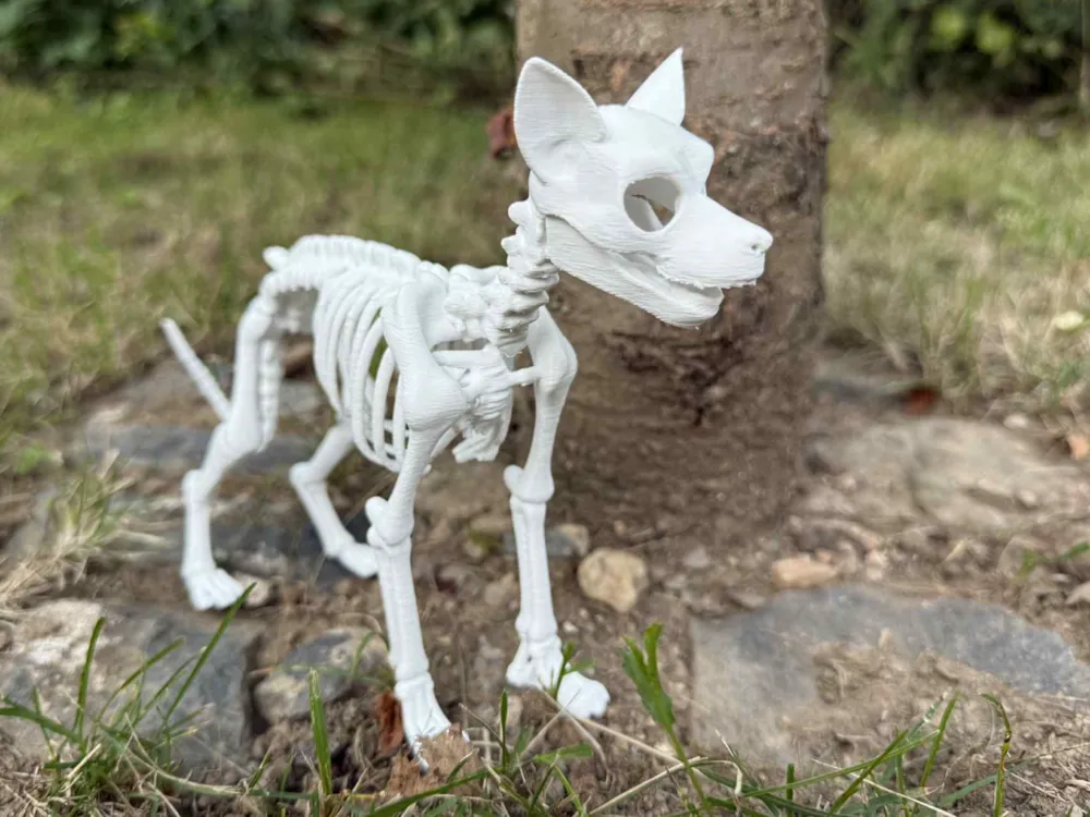 Dog skeleton - Free 3D Print Model - MakerWorld