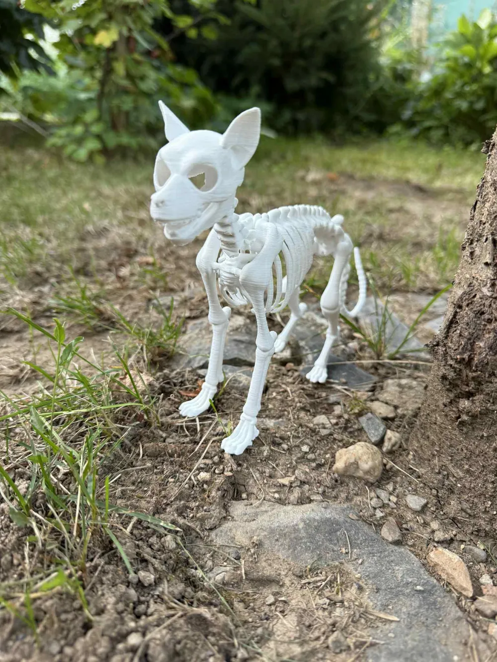Dog skeleton - Free 3D Print Model - MakerWorld