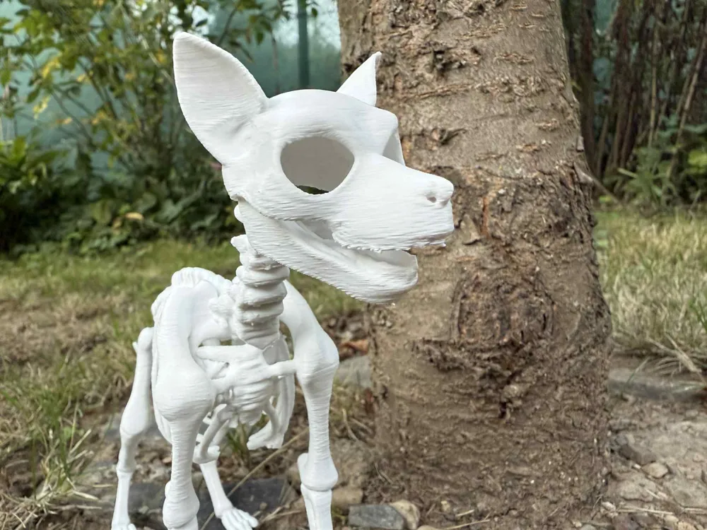 Dog skeleton - Free 3D Print Model - MakerWorld