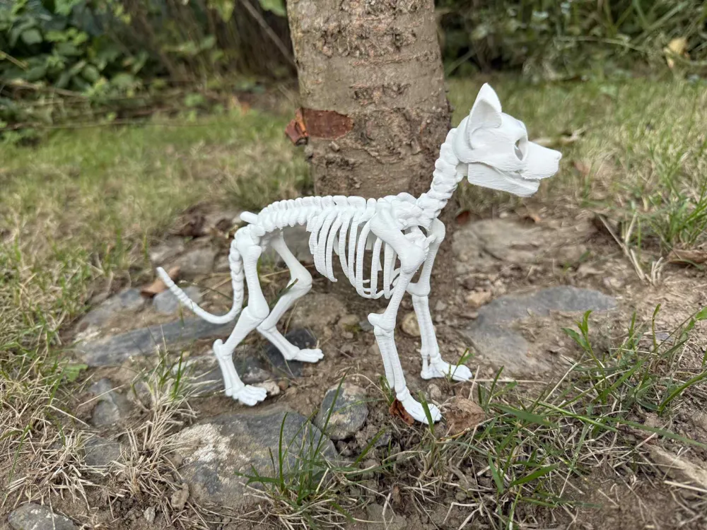 Dog skeleton - Free 3D Print Model - MakerWorld