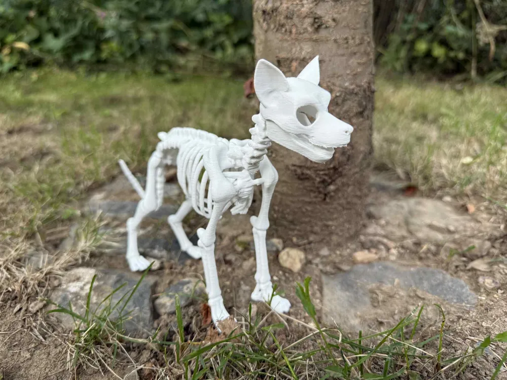 Dog skeleton - Free 3D Print Model - MakerWorld