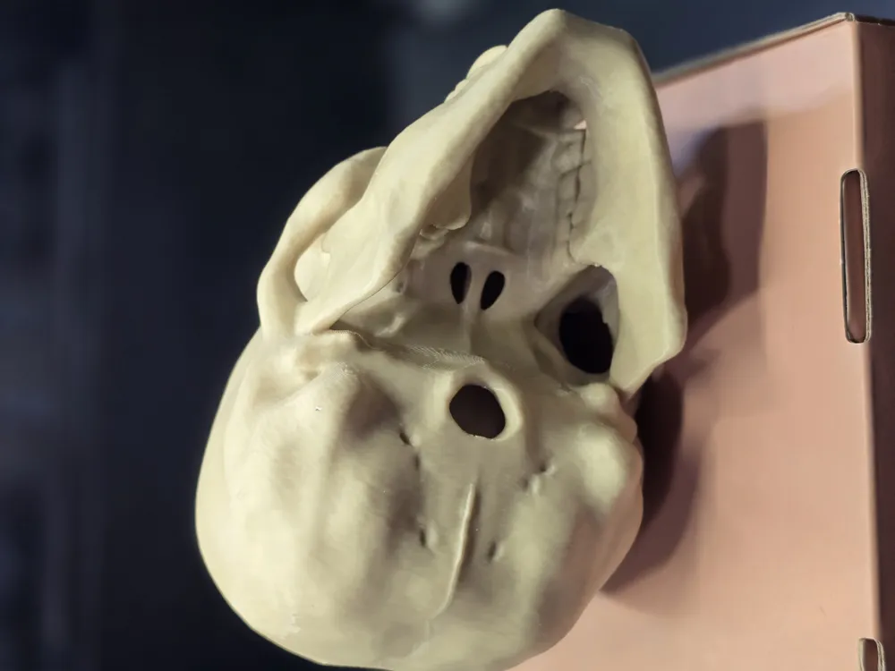 Vampire Skull by CV3DP MakerWorld: Download Free 3D Models